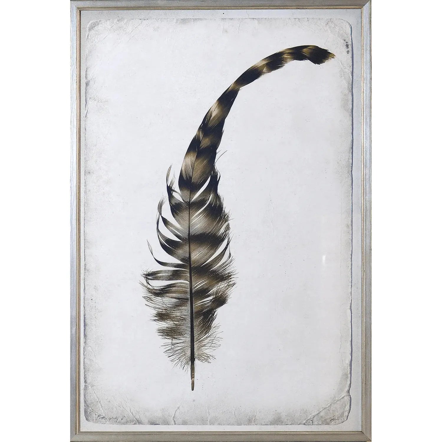 Feather Study I – MYHome Furniture