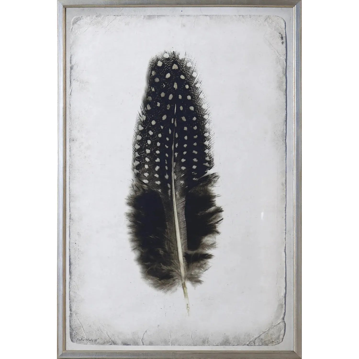 Feather Study III – MYHome Furniture